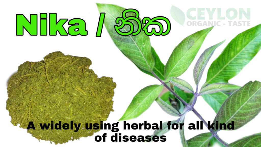 Nika - A widely used Valuable natural herb in Indigenous Medicine ...