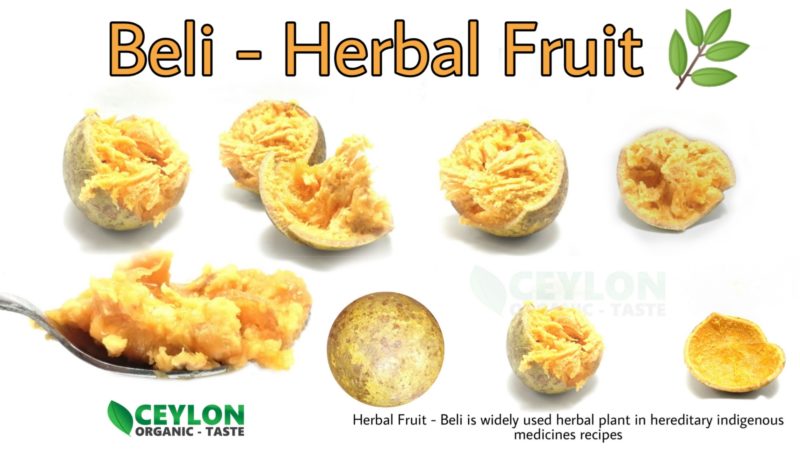 16 Benefits of Beli/ Aegle marmelos - Medicinal Fruit - Ceylon Organic ...