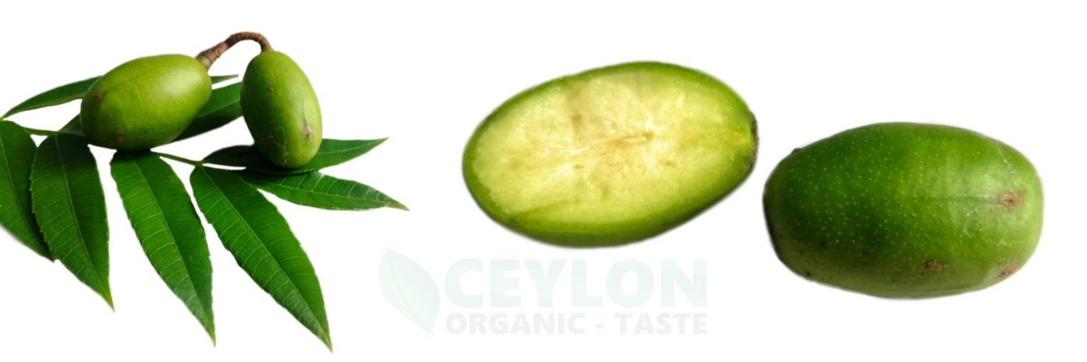 10 Benefits of Spondias dulcis/ Ambarella - Medicinal Fruit - Ceylon ...