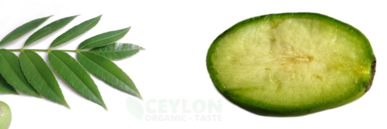 10 Benefits of Spondias dulcis/ Ambarella - Medicinal Fruit - Ceylon ...