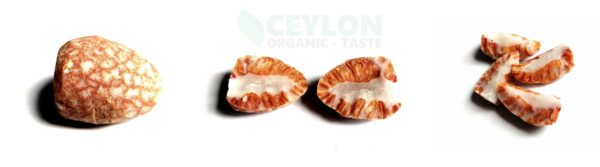 Have you ever known these things about the Areca Tree - Ceylon Organic ...